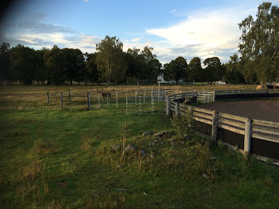 Välkommen till Open Heart Ranch!: På Ranchen