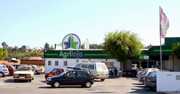 Tomar na Rede: Dez anos de Agriloja em Tomar