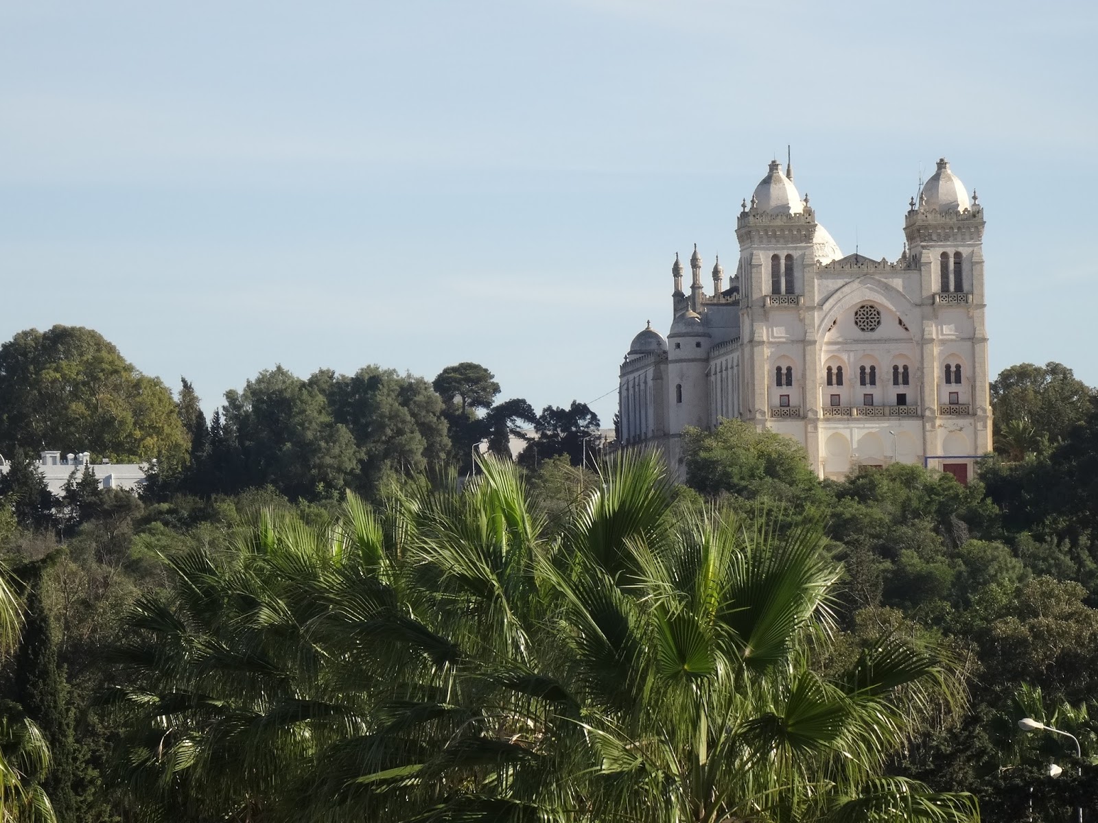 Ainsi va la vie ... pérégrinations de la famille salaün: Carthage : la ...