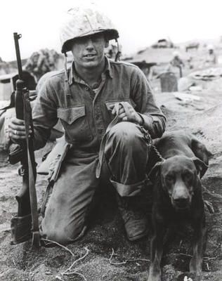 World War II in Pictures: Dogs of World War II