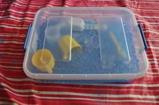 Memorizing the Moments: Water Beads