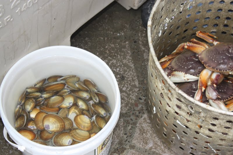 Adventures in Crabbing and Clamming – Love, Laughter, and Literacy