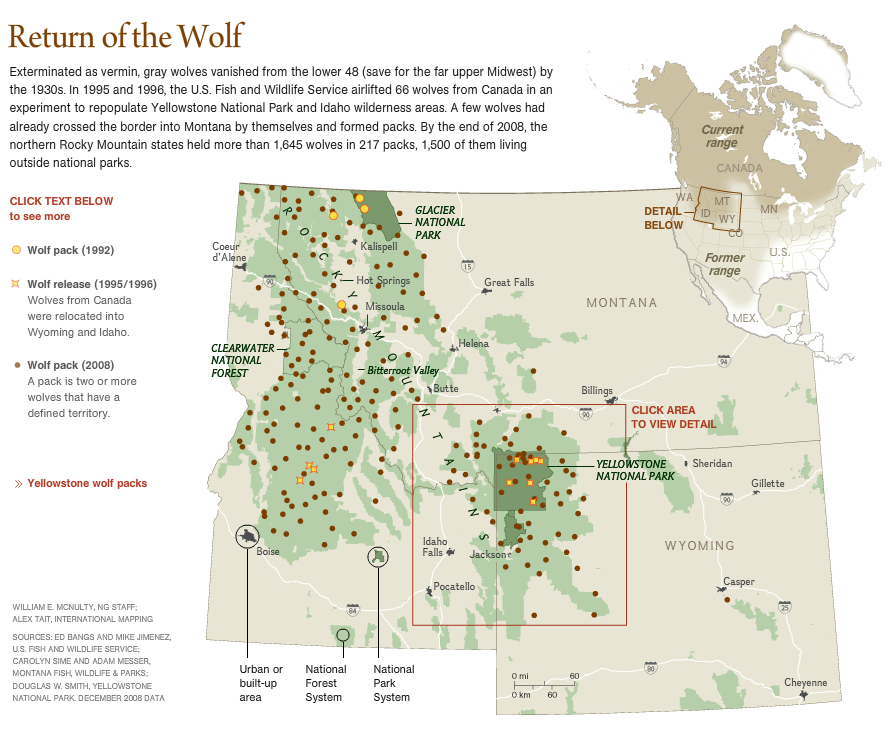 Canis lupus 101: Location-US Wolf Packs