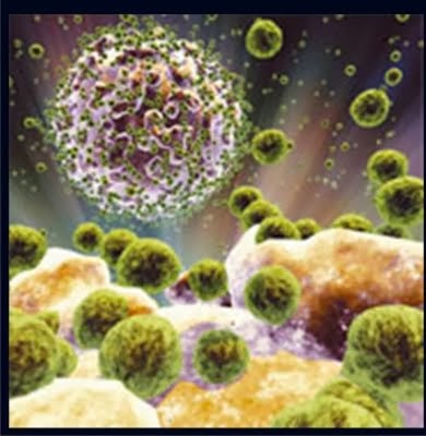 Lo Maravilloso de la Ciencia: Teoria Creacionista