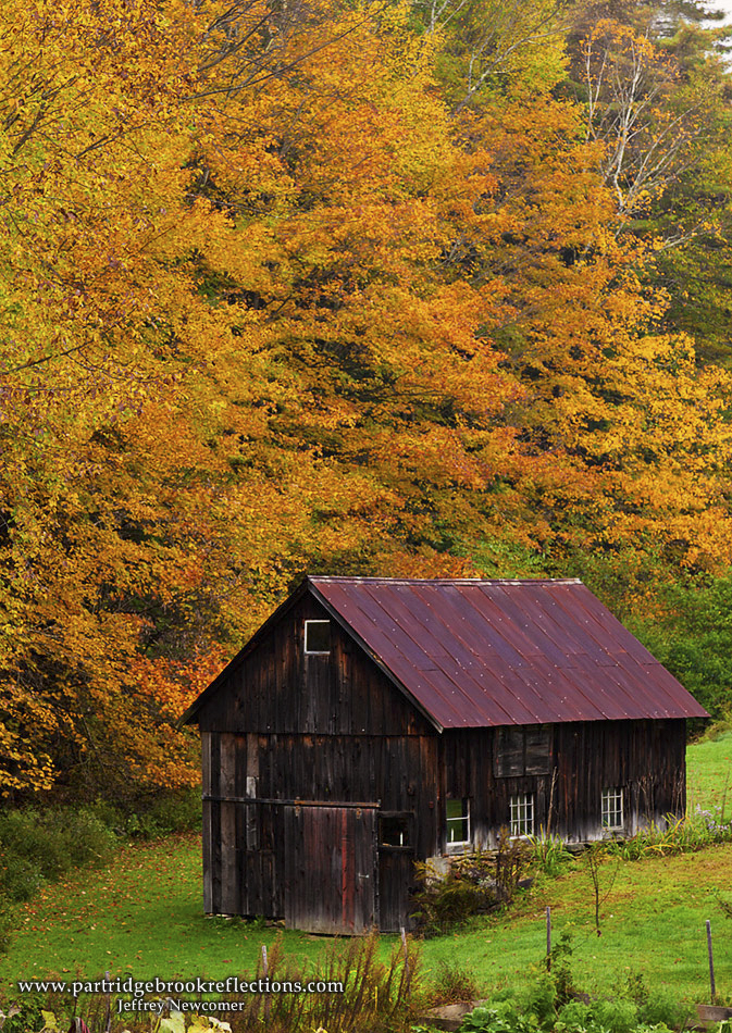Getting it Right in the Digital Camera : Newfane Vermont Album