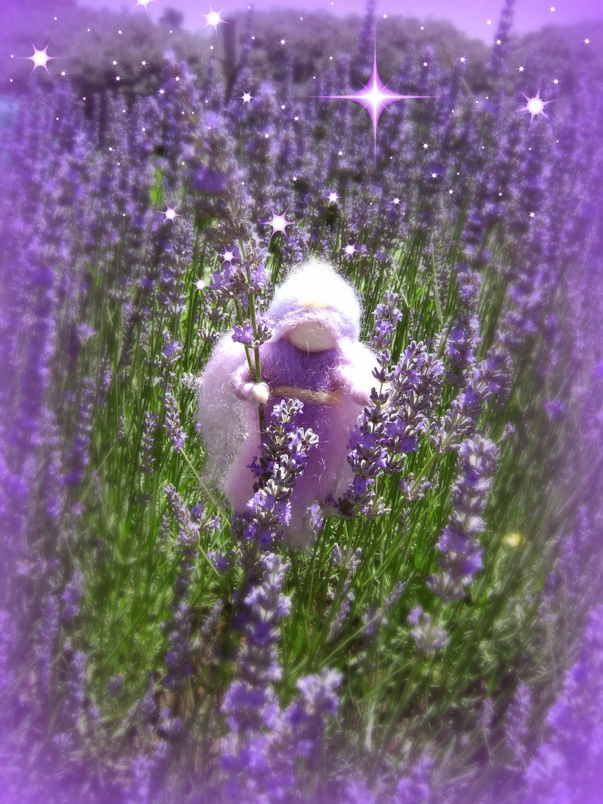 Softearth's World: Sweet Lavender