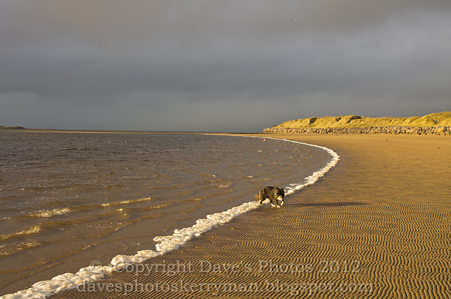 Daves' Photos: DOOKS BEACH THIS AFTERNOON. 11-1-12