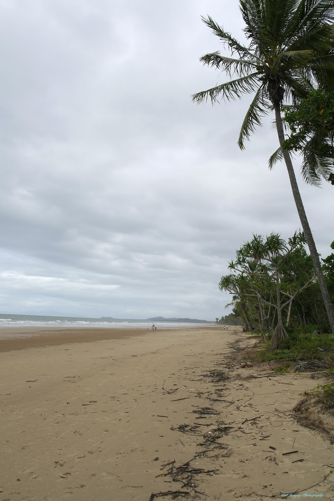 Can Go Around Australia: The Tully Beaches
