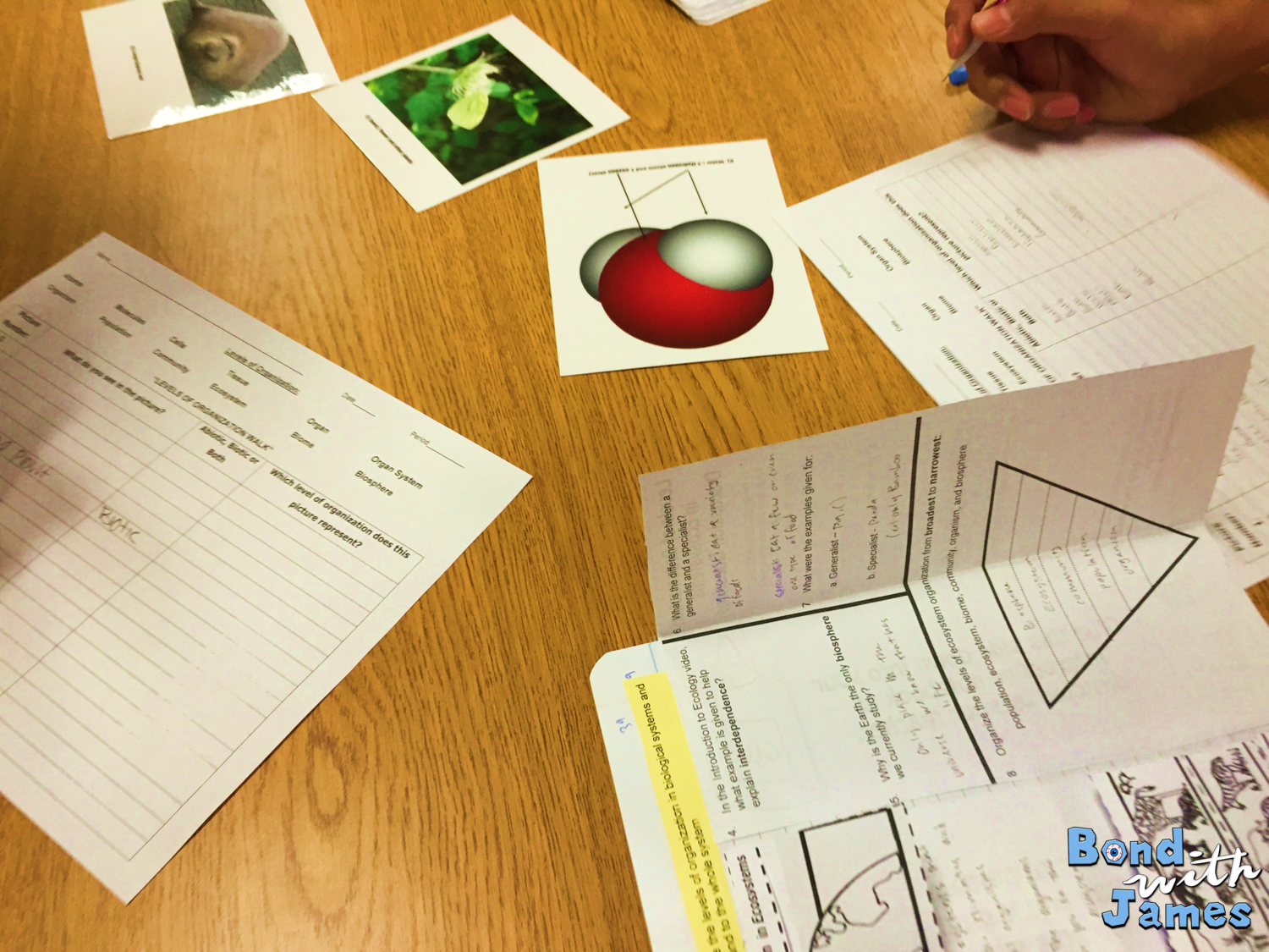 Bond with James: Ecology Unit Activities 1