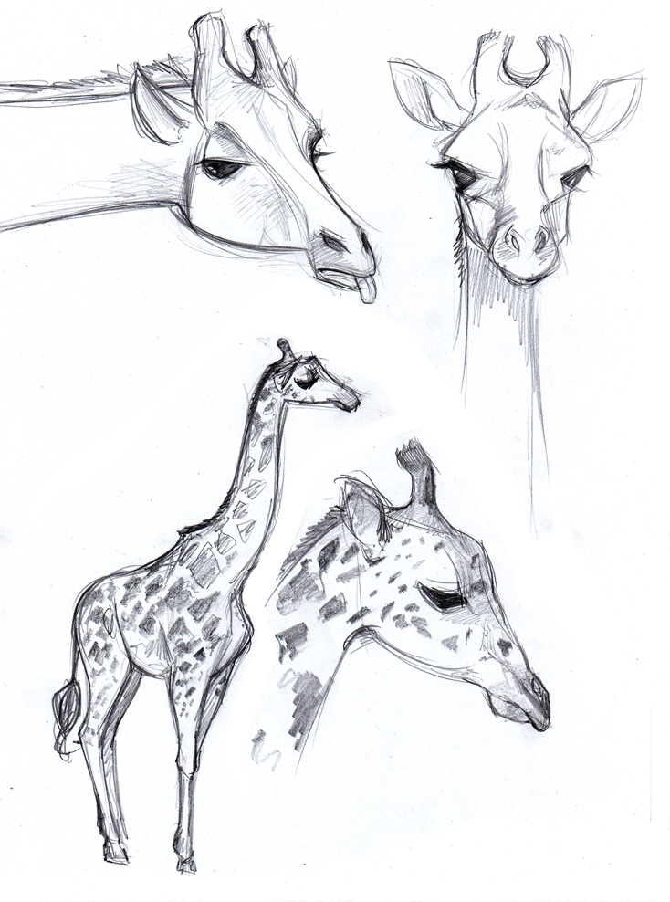 Art by Lindsey: Giraffes