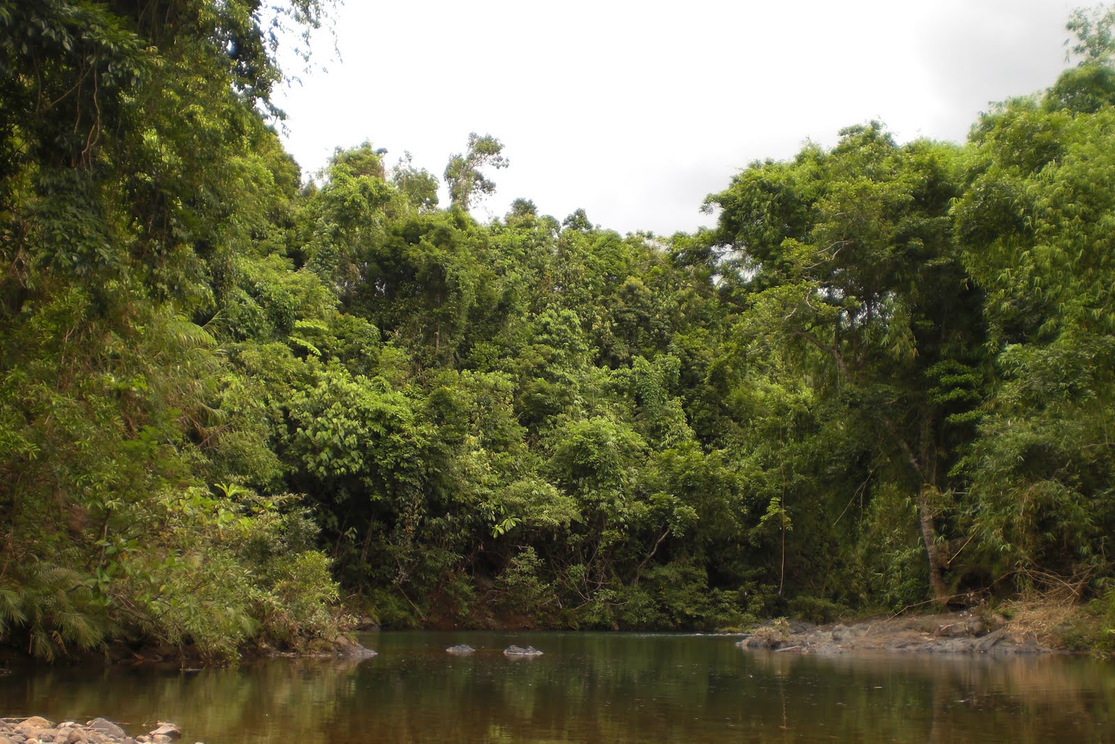 tagkawayan trippers-tkt: …..bayabas river……….tk……….