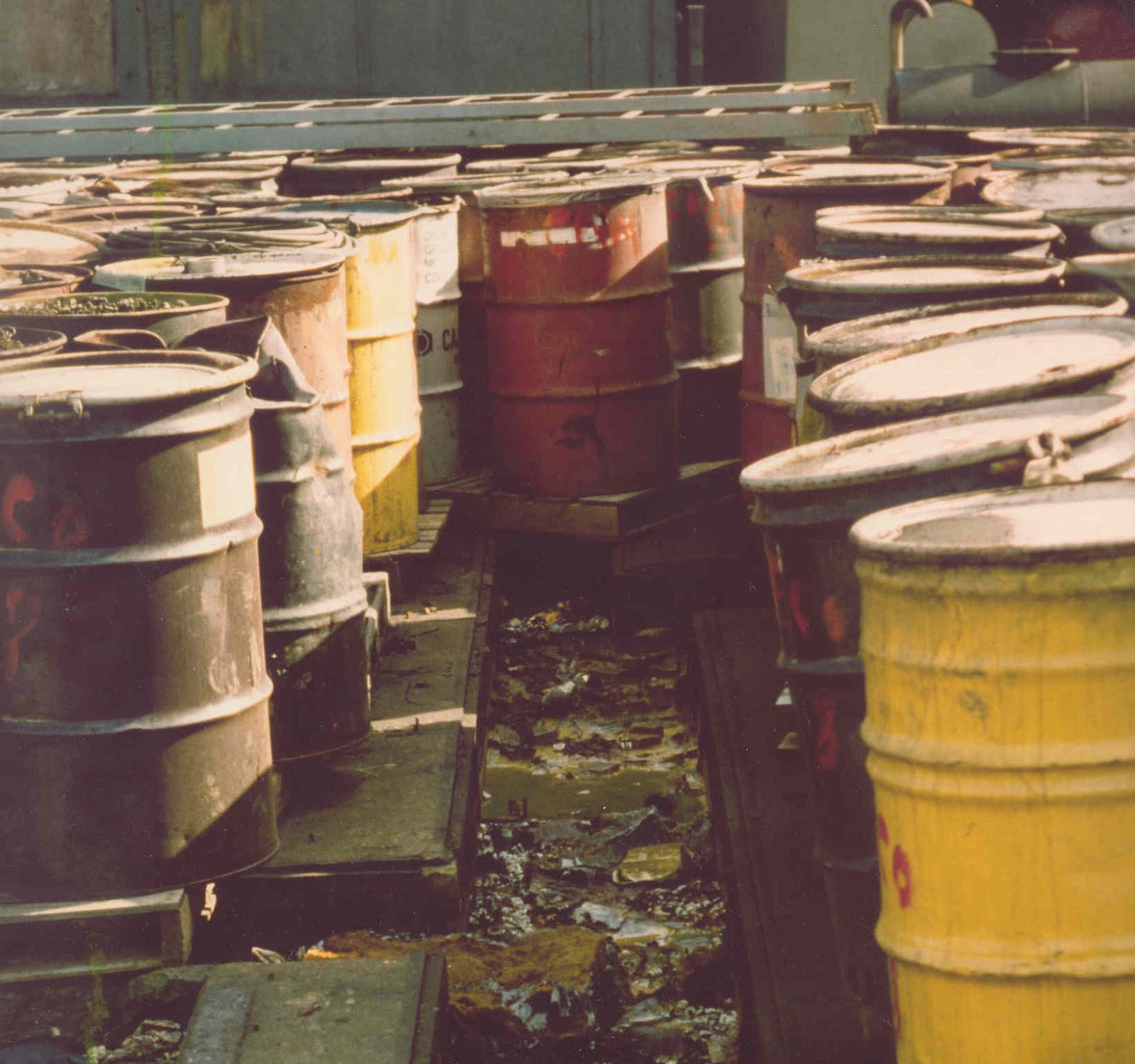 CCM USM Recycling Project: Entry 5: What Will Happen If We Don't Recycle?