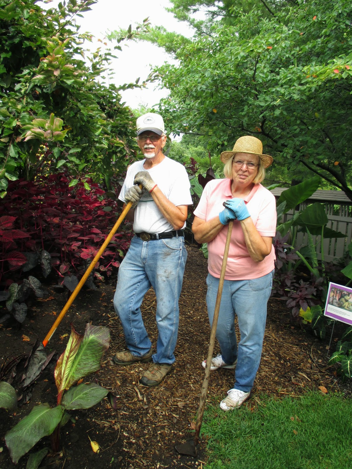 Rotary Botanical Gardens - Hort Blog: Prayers Answered - 1.7" of Rain ...