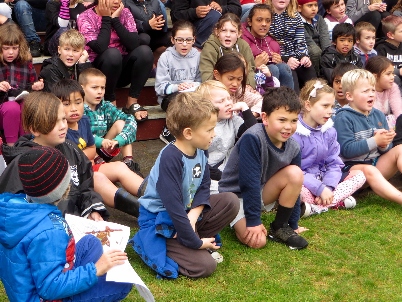 Room 3 Firth Primary School