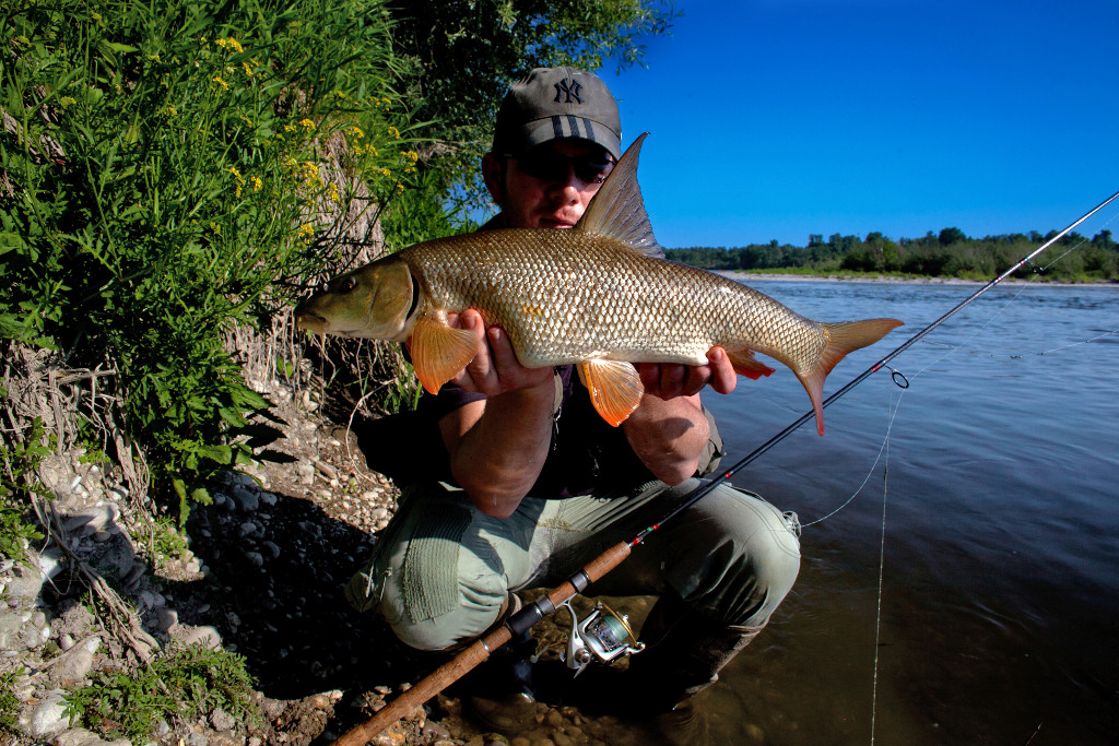 Fishing In Croatia (and in the neighbourhood): Big barbel spin fishing ...