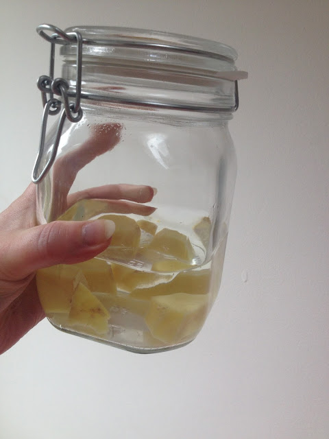 Low Carb Cork: Ginger Infused Vodka