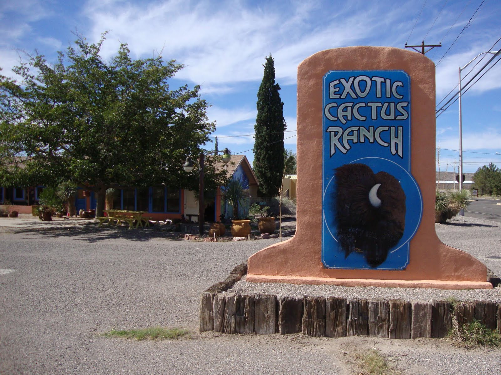 danger garden: Buffalo Bill’s Exotic Cactus Ranch