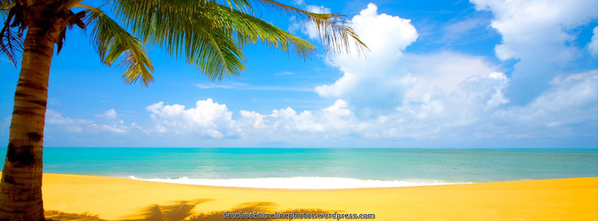 Facebook Timeline Covers: Facebook Profile Timeline Covers: Poker and ...