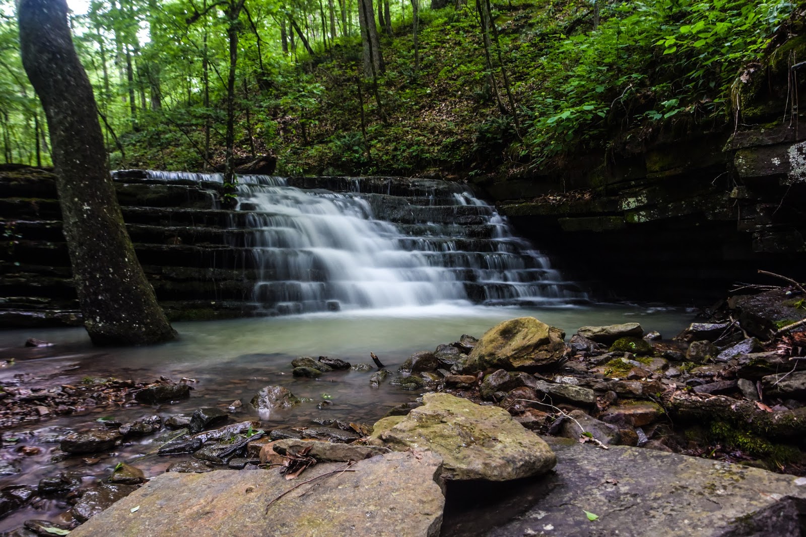 Rick's Hiking Blog: Rough Hollow Waterfalls, Arkansas Ozarks