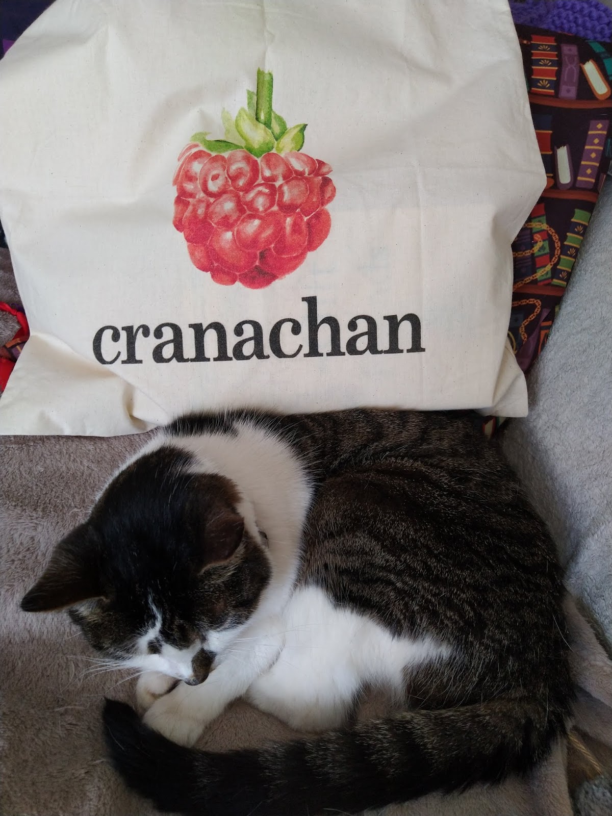 So many books, so little time: Sonny and Me - Ross Sayers Book Launch