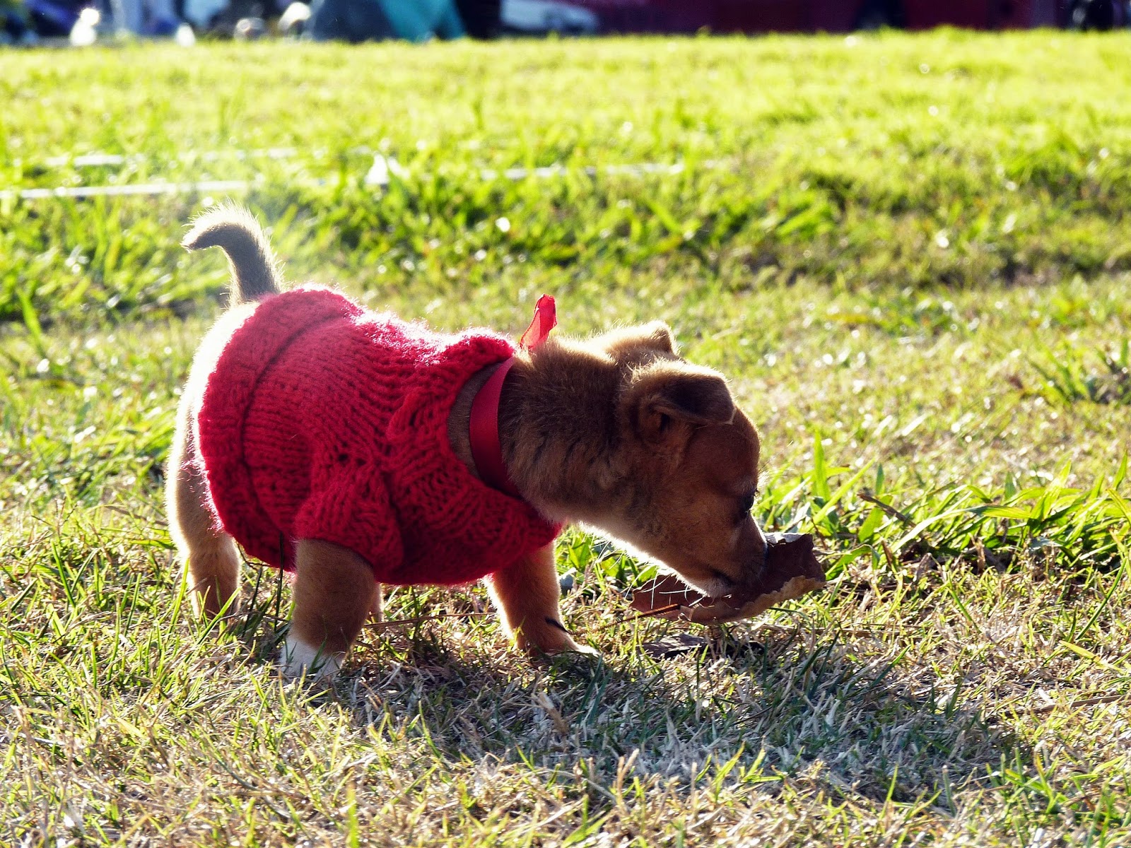Lo importante es ver aquello que resulta invisible para los demás ...