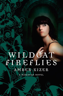 Arte literario: Wildcat fireflies, Amber Kizer