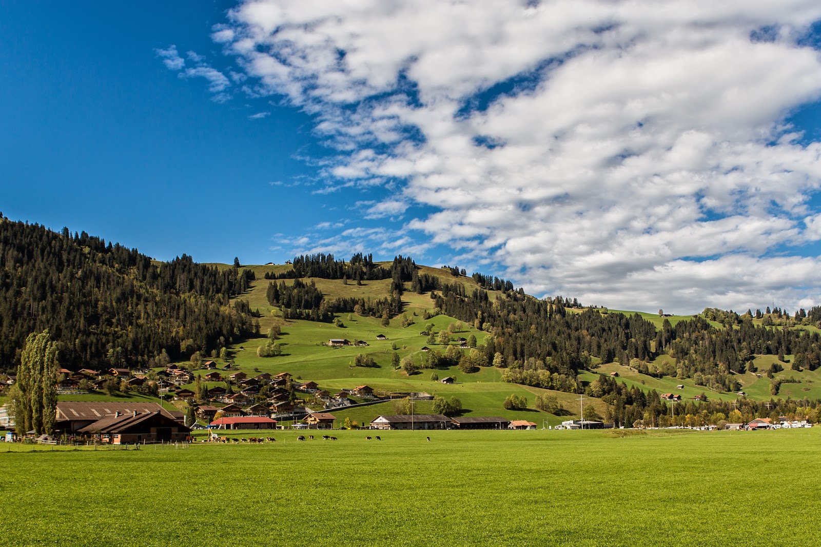 Switzerland :: Zweisimmen