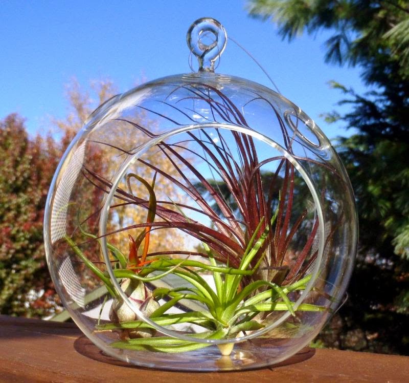 15 Weird Glass Globe Magical Designs