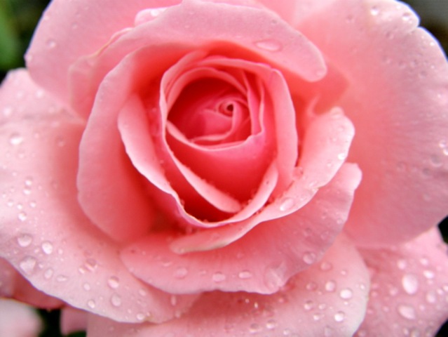 Lágrimas de um Romântico: fevereiro 2013