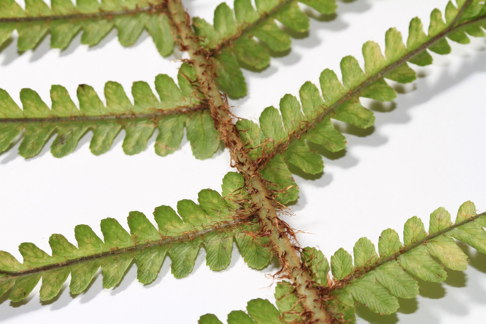 TravelMarx: February 2012