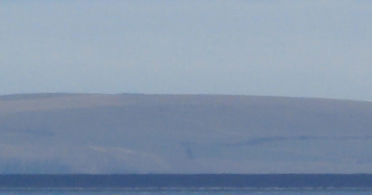 Heysham Bird Observatory: Perfect conditions, perfect 'new' vantage point