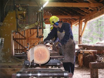 MADERAS Y ESTIBAS CARTAGENA: Aserrado De La Madera