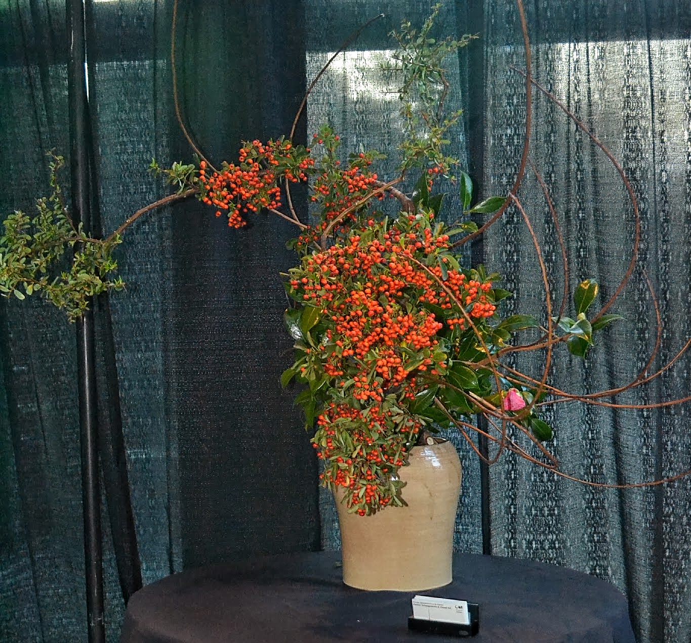 The Outlaw Gardener: Northwest Flower and Garden Show Floral Competition