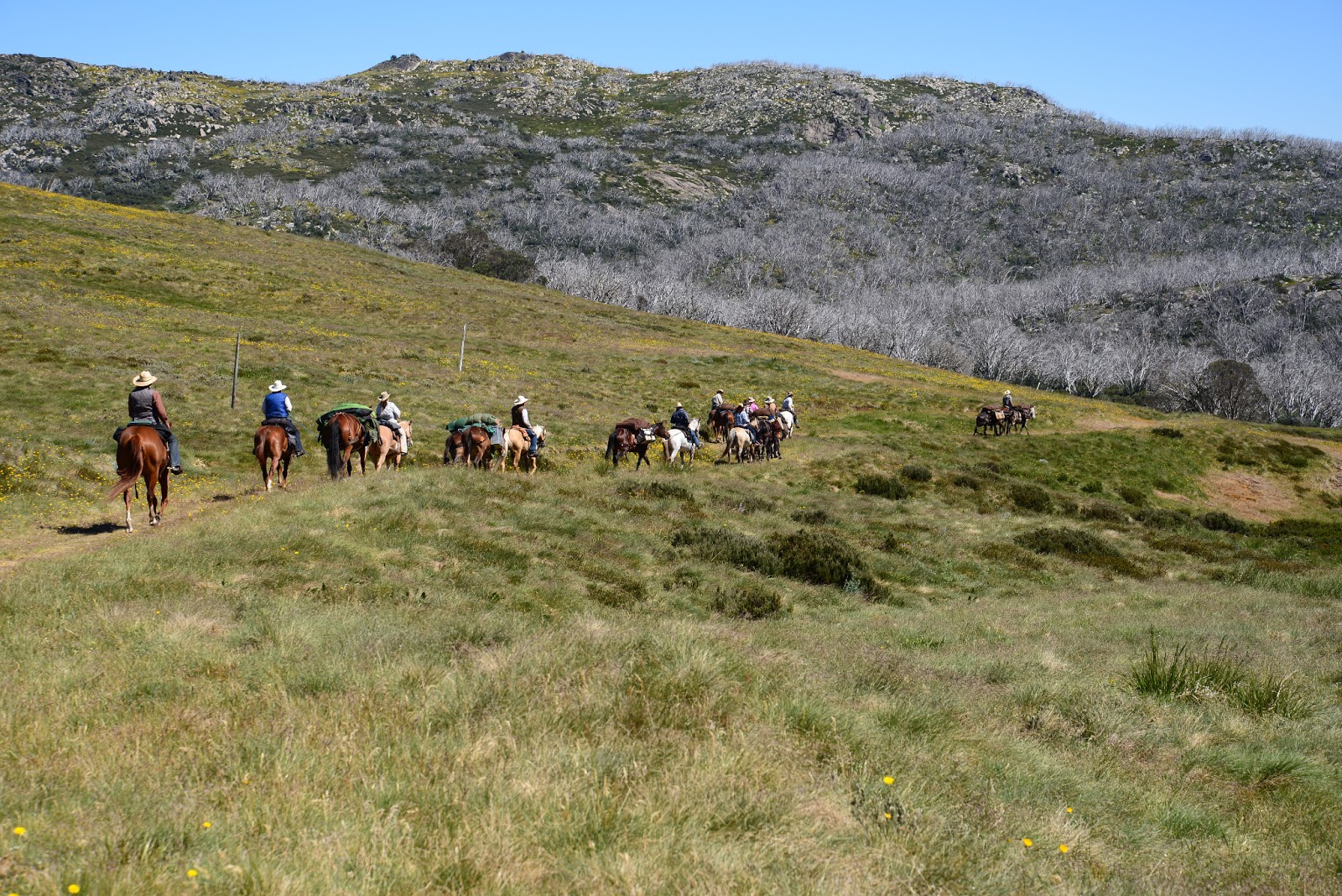 walkabouters club of victoria inc: Pretty Valley - Tawonga Huts - Mount ...