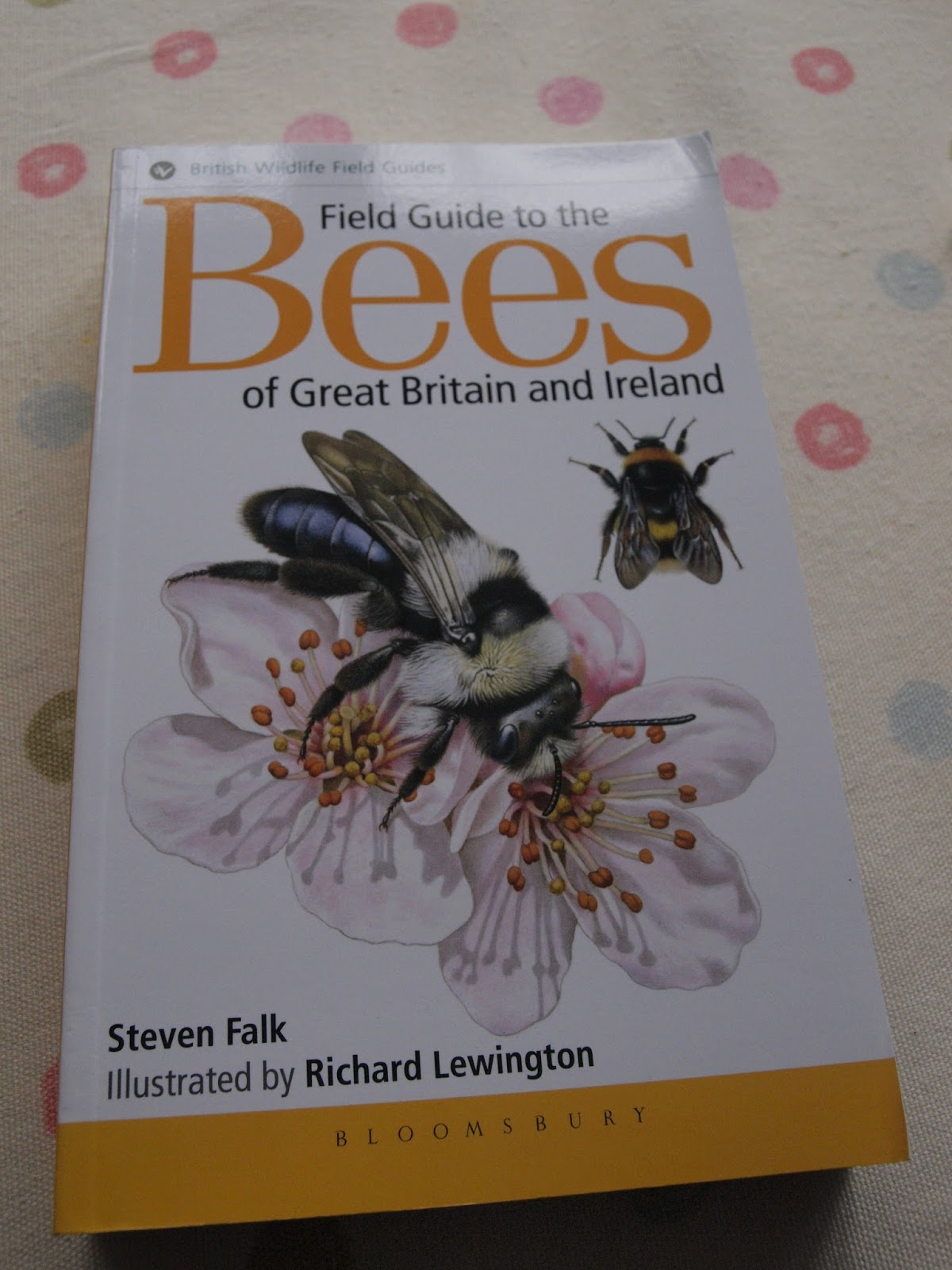 Ragged Robin's Nature Notes: A Bee Talk and Walk led by Steven Falk at ...