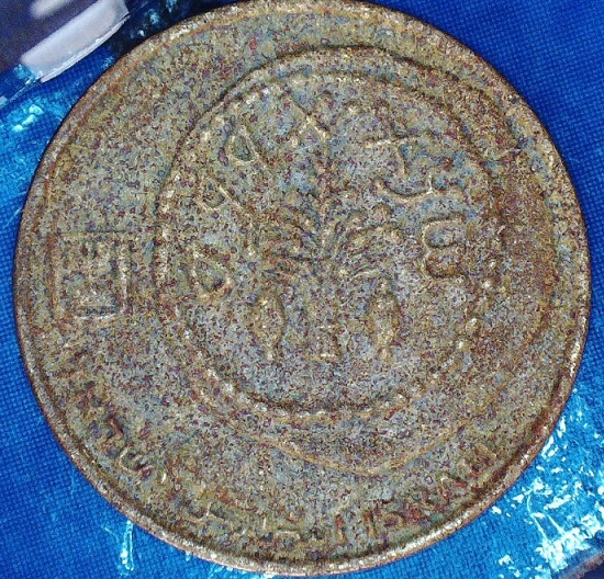 The Treasure Beaches Report Direct From Florida's Treasure Coast.: 11 ...