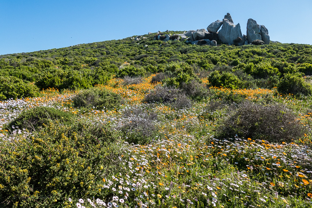 Kijken in verwondering...: Nationaal Park Weskus