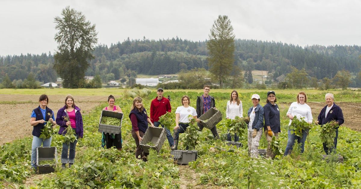 WSDA AgBriefs: WSDA report examines the challenge of getting local ...