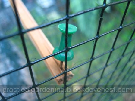Practical Gardening: Homemade Bird Trap - Making a Perch for the Cage