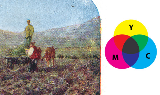 KidLitArtists.com: COLOR, the printing process, and Stack the Cats!