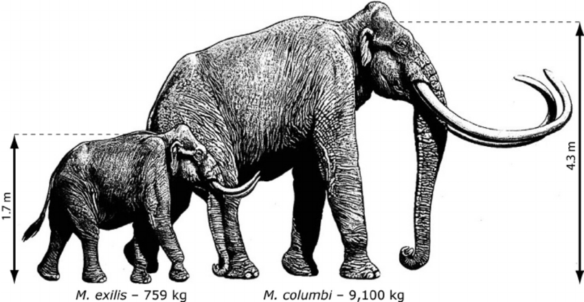Mammoth Tales: The Ugly Mammoth