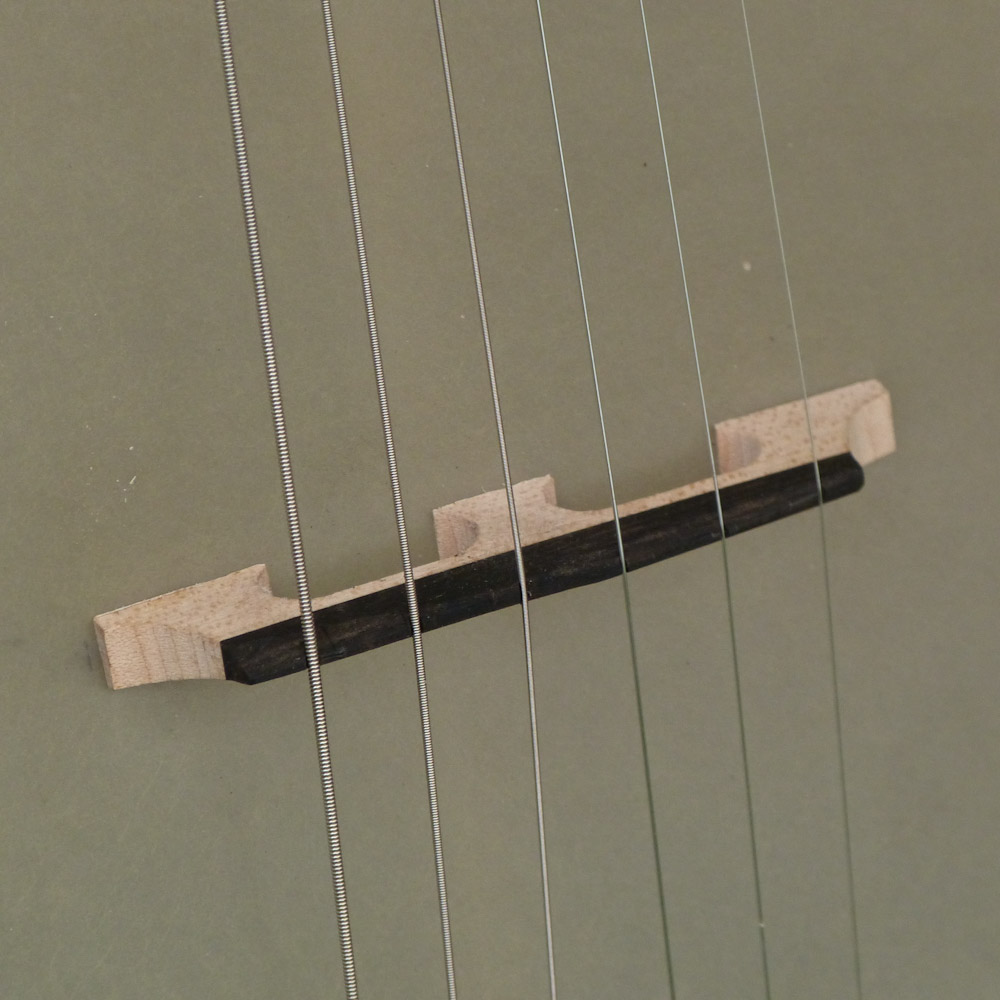 2014 Gold Tone BT-2000 6-String Banjitar
