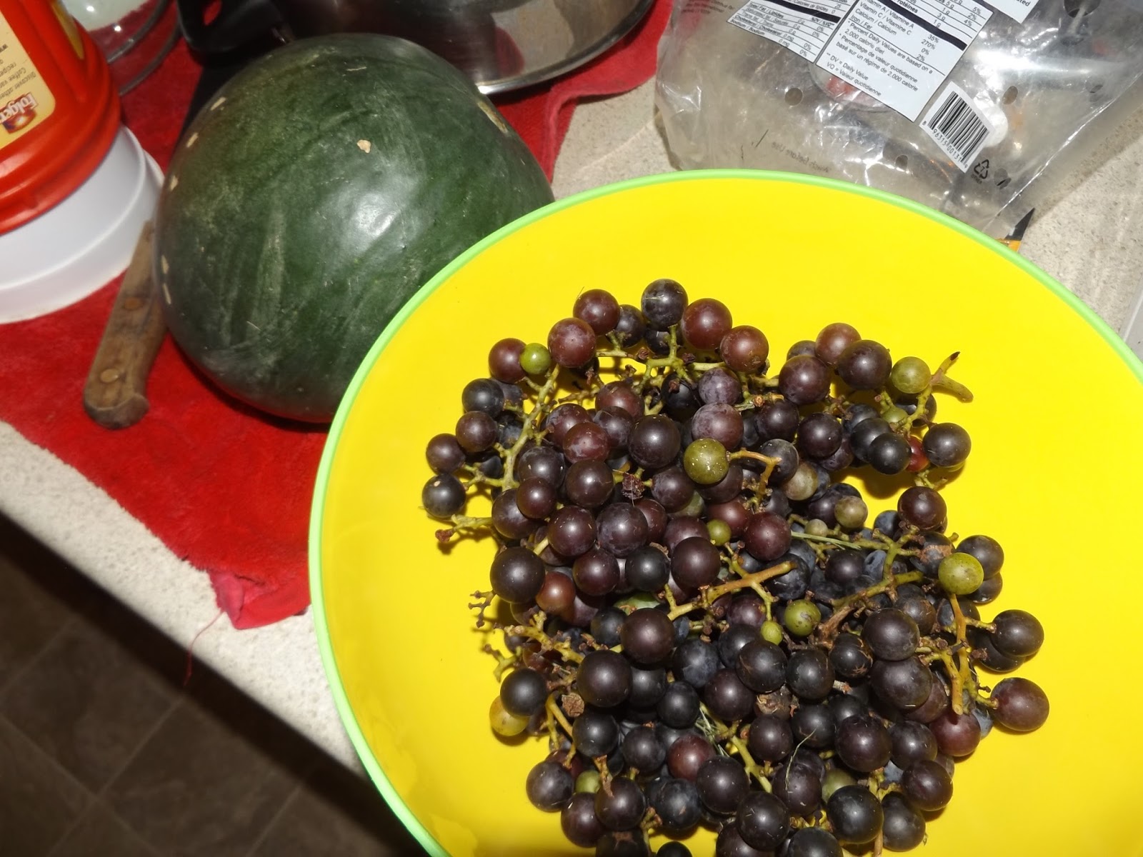 Watermelon, grape, strawberry harvest | Gardening Forums