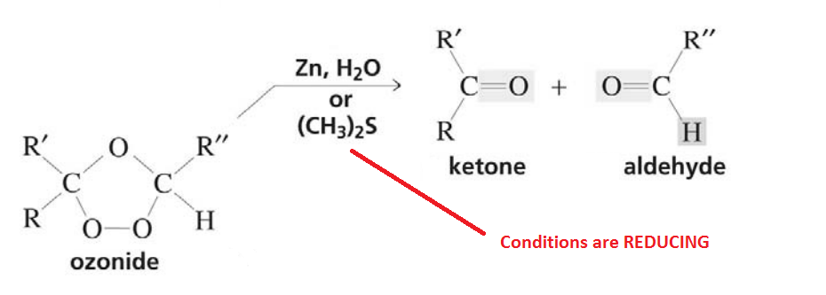 Ozonide - JungleKey.fr Image