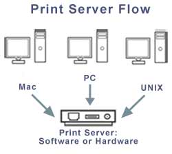 Computer Networking: Logical Classification of Networks and Servers