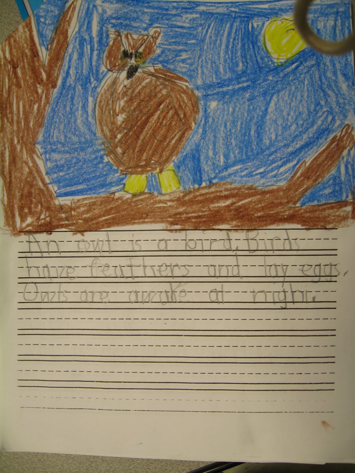 Vertebrate Animals | First Grade Shenanigans