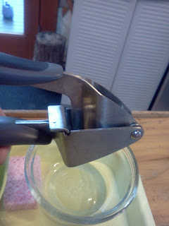 Montessori Design: Sponge Squeezing With a Garlic Press