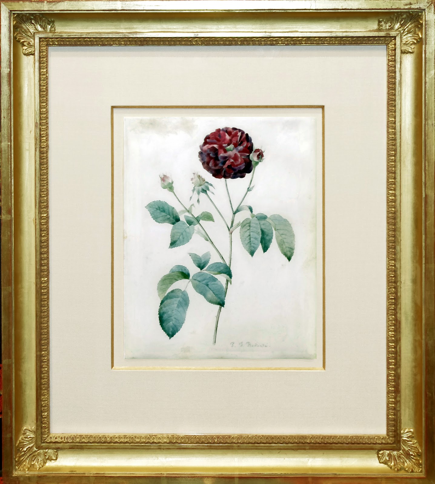 Offering of the day: A Lovely Study of a Single Red Rose by Pierre ...