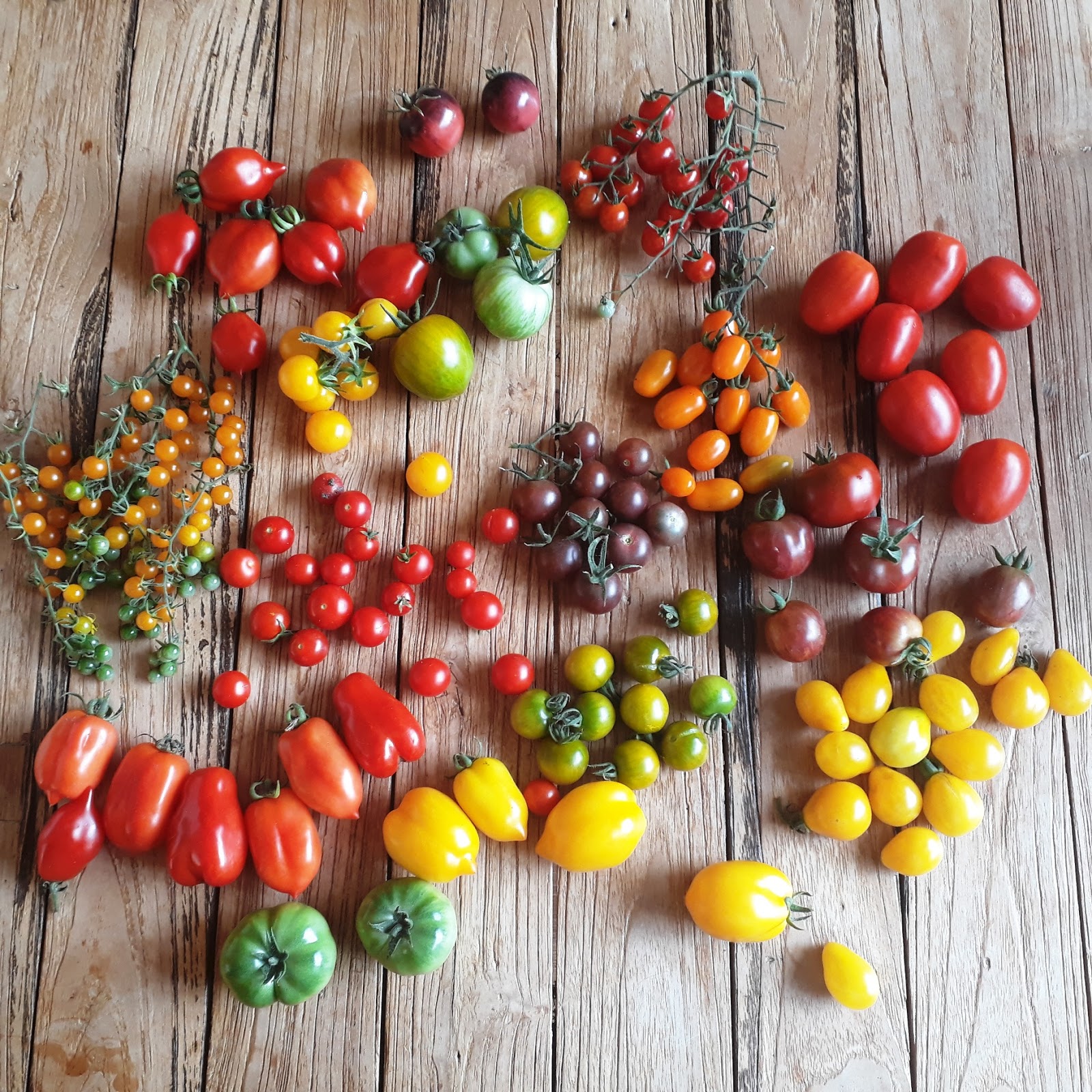 Stadstuinieren met Pit: Een terugblik....de toppers van 2018