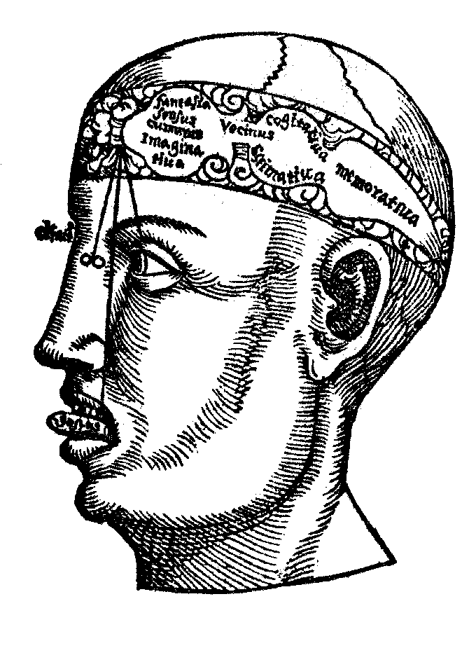 bensozia: Medieval and Renaissance Brains
